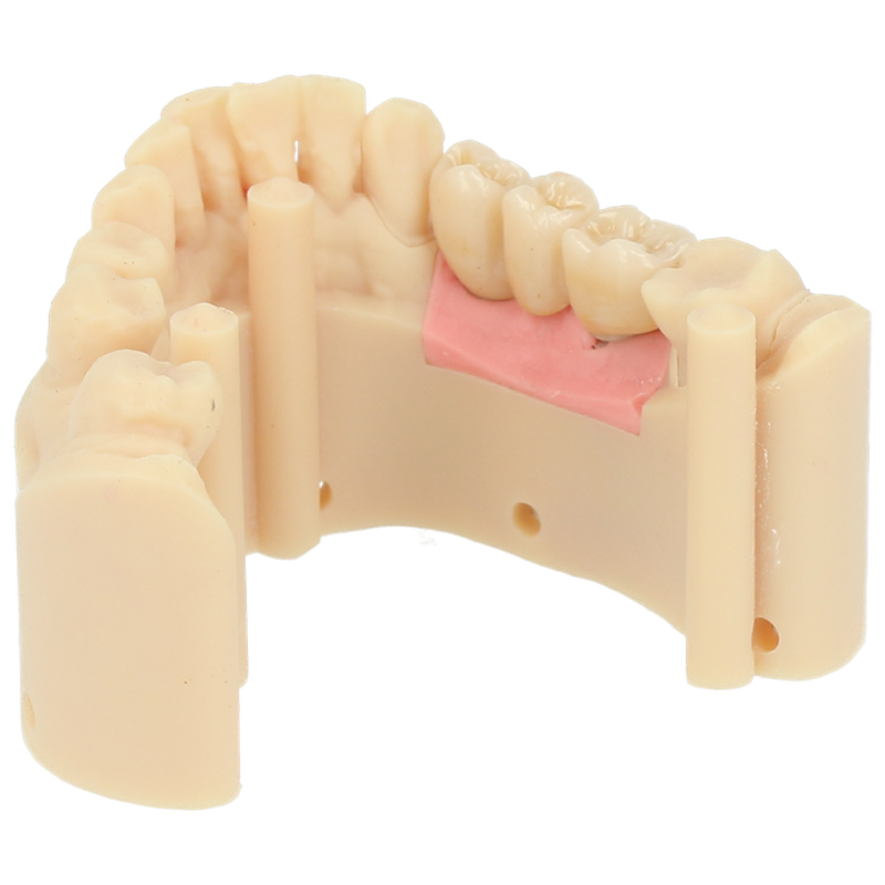 BISS MODEL-CREATOR, 1.199,00